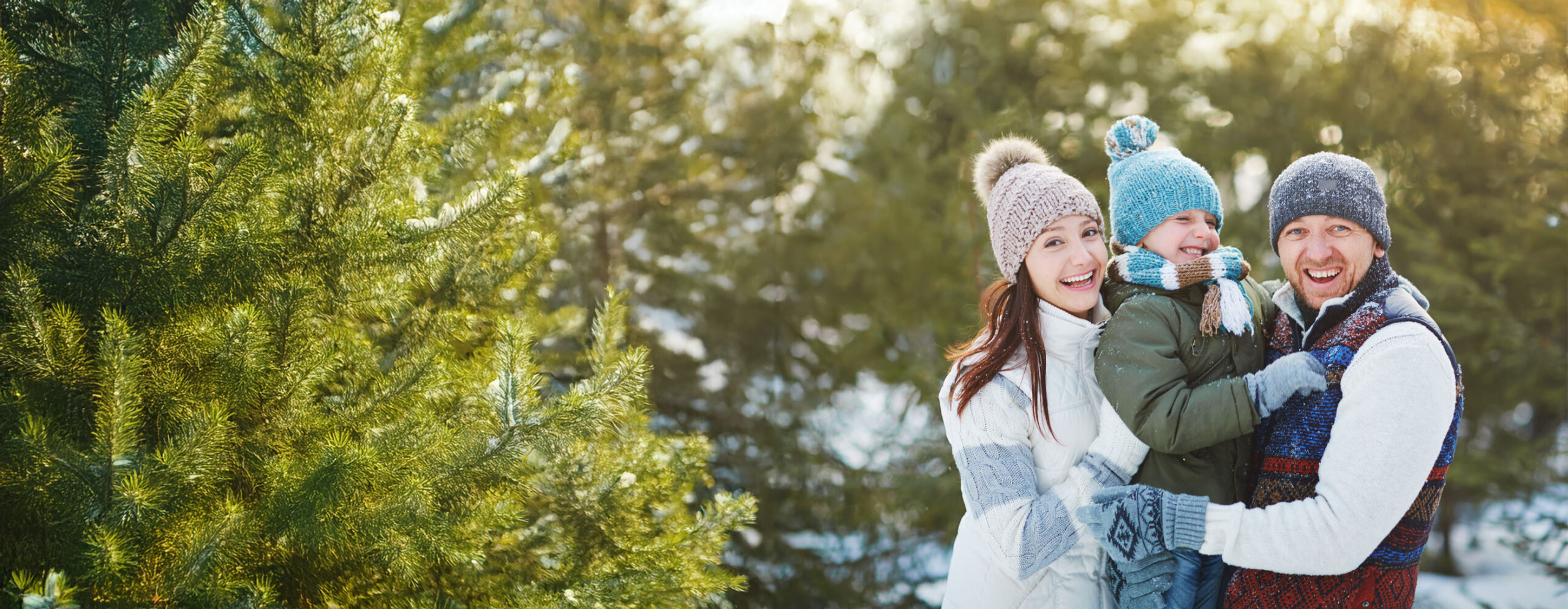 The Summit Federal Credit Union | Personal Banking & Loans